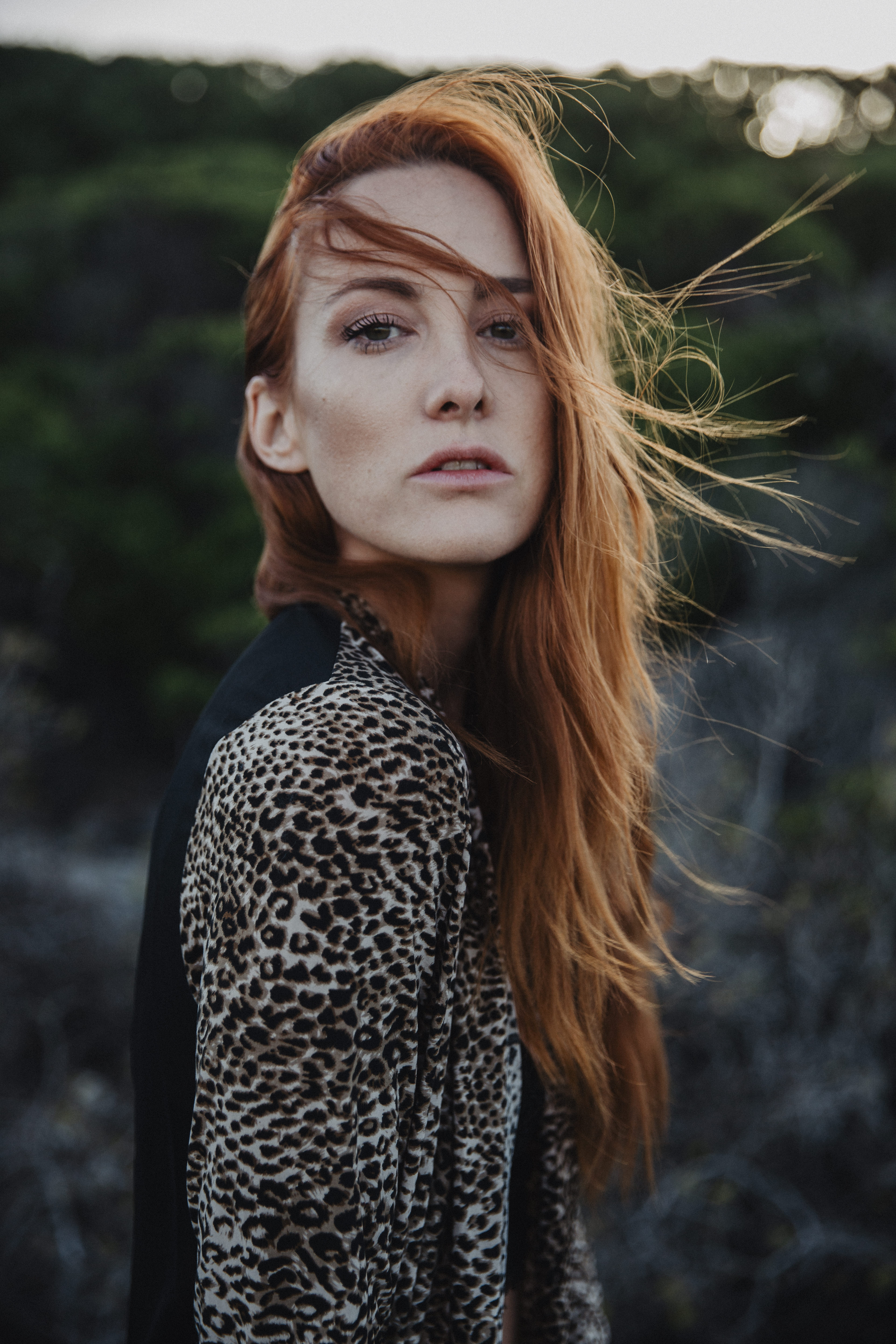 Start - Jennifer Stein